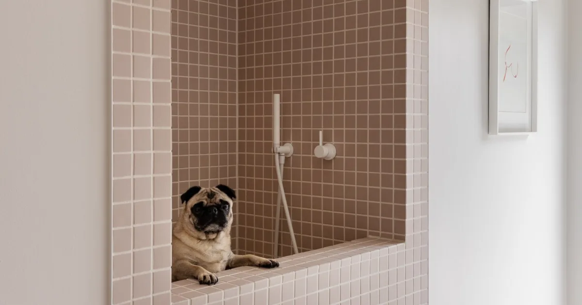10 Features Pet-Loving Home Buyers Look For - DUET Property Group