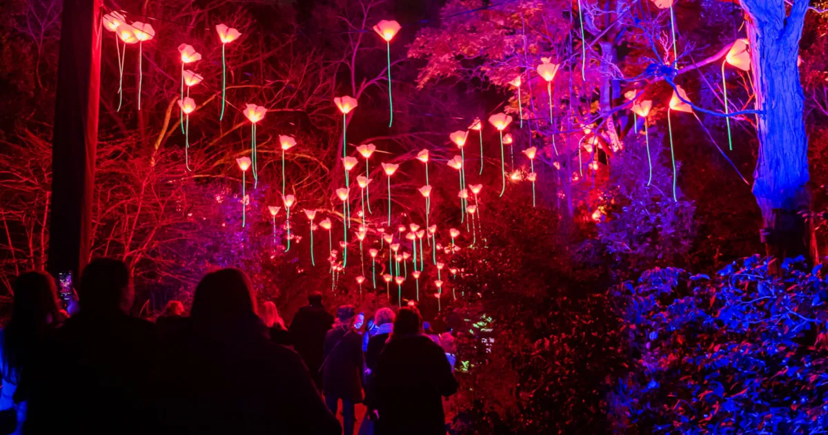 10 Things to Do in Perth This Winter - DUET Property Group